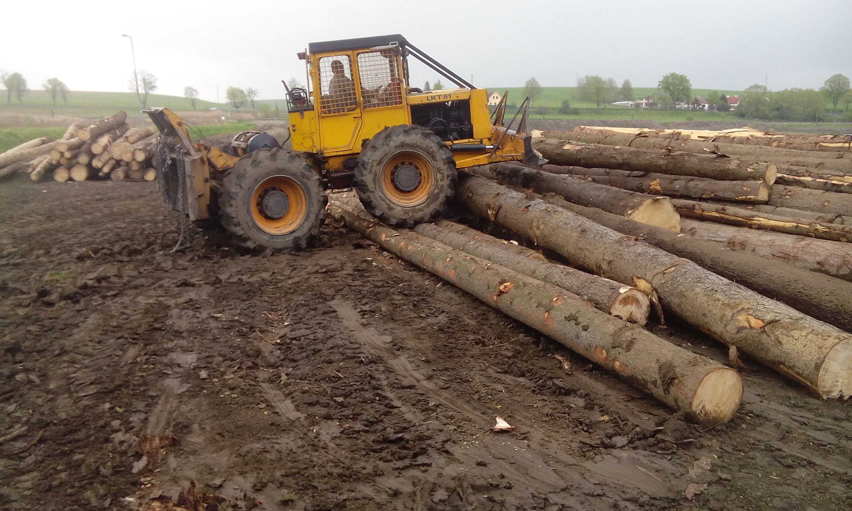 gelba — Postimages