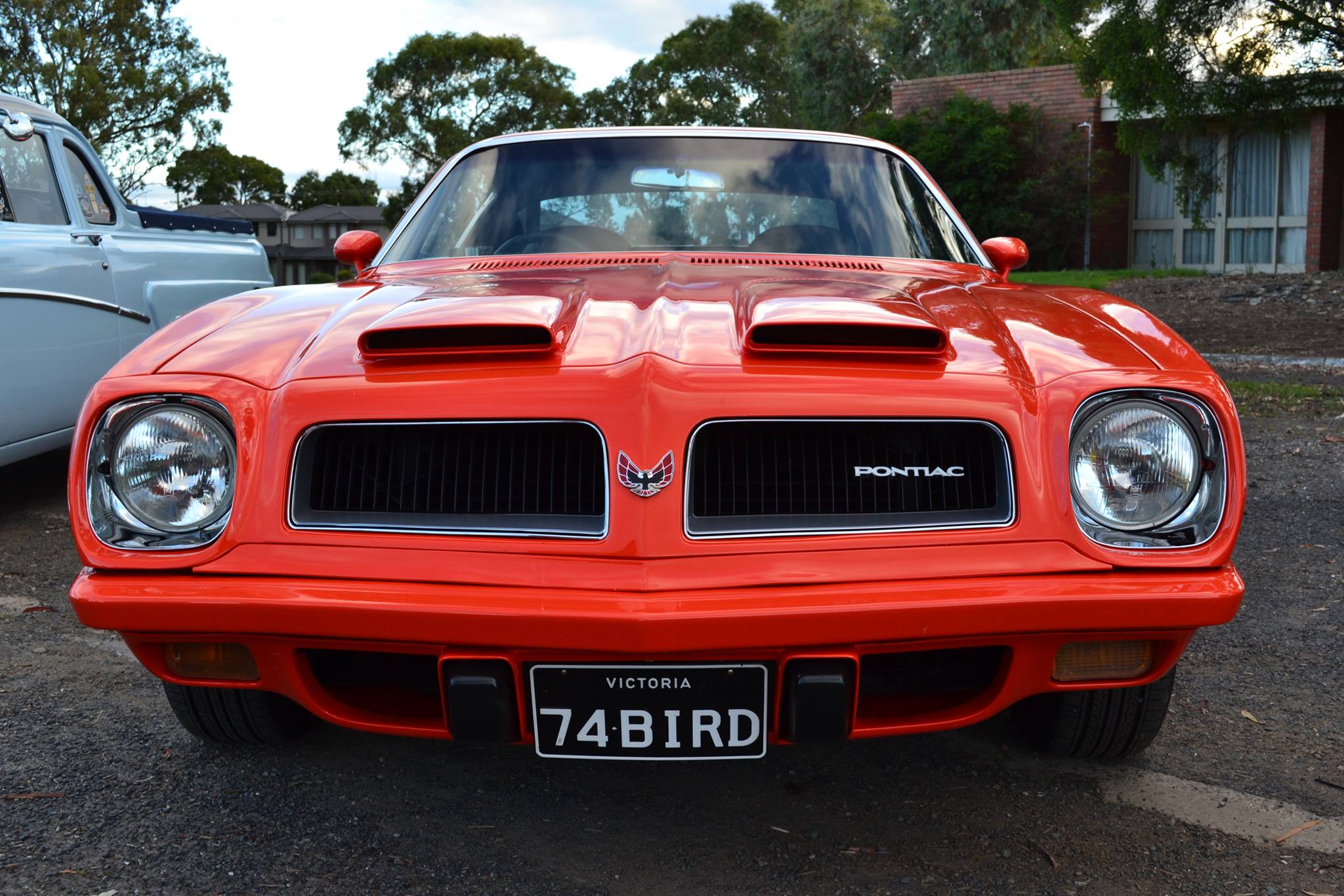 74 Bird — Postimages