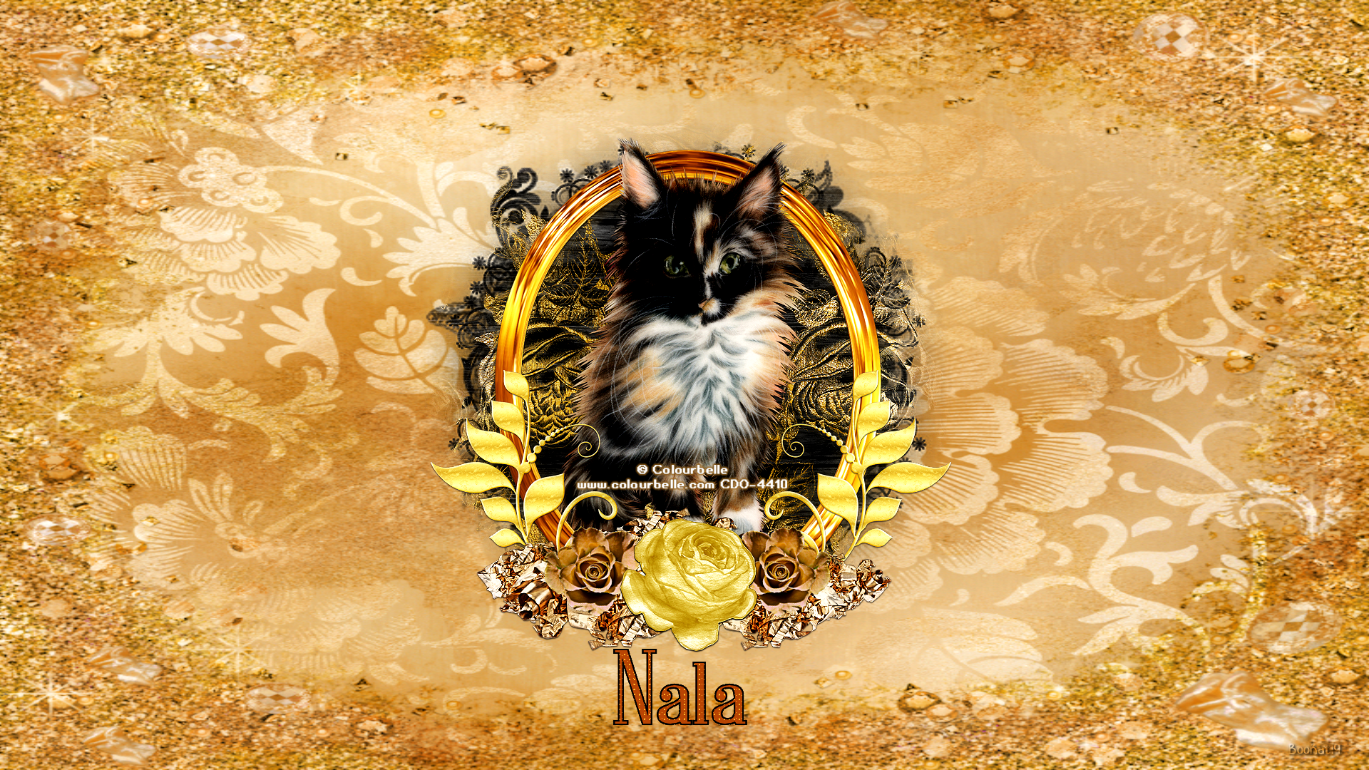 Nala Wallpaper 1920x1080 by Boo Kat 2019 — Postimages