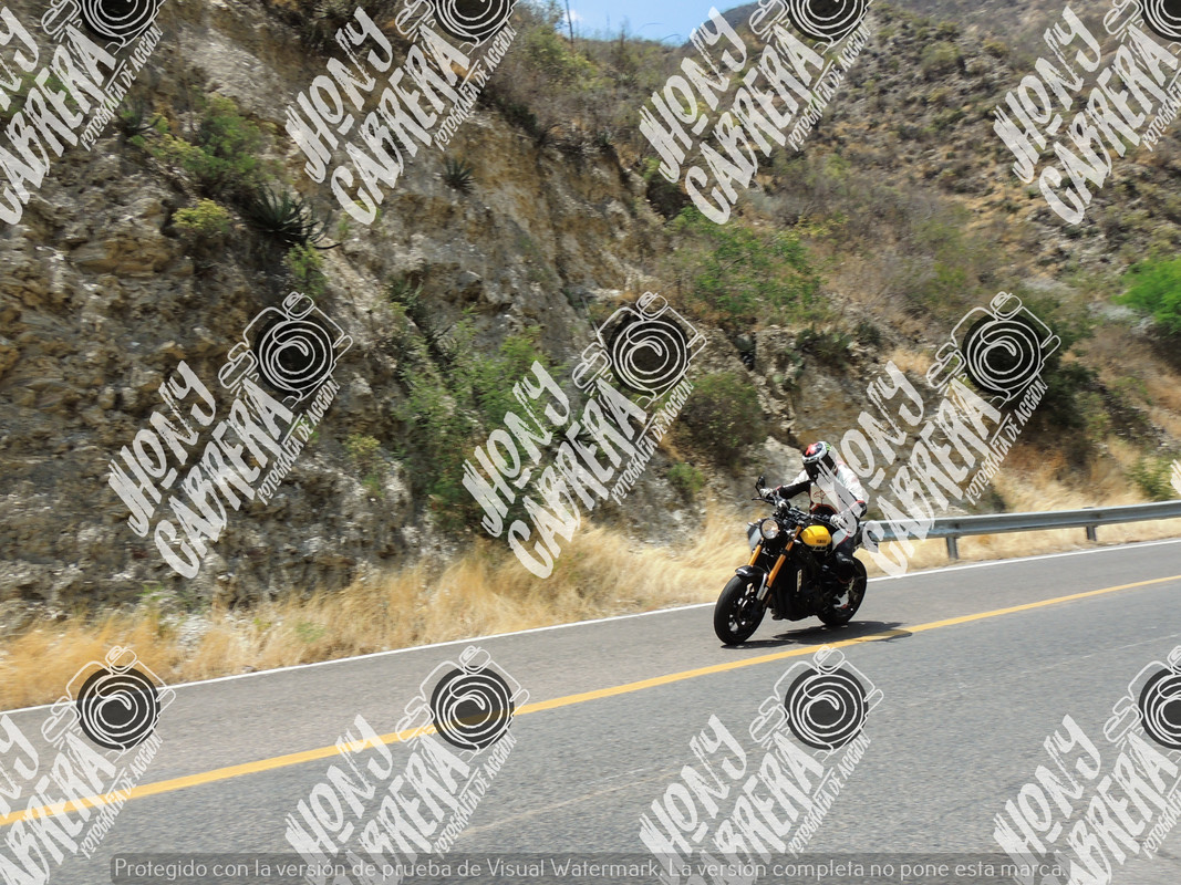 DSCN6754 — Postimages