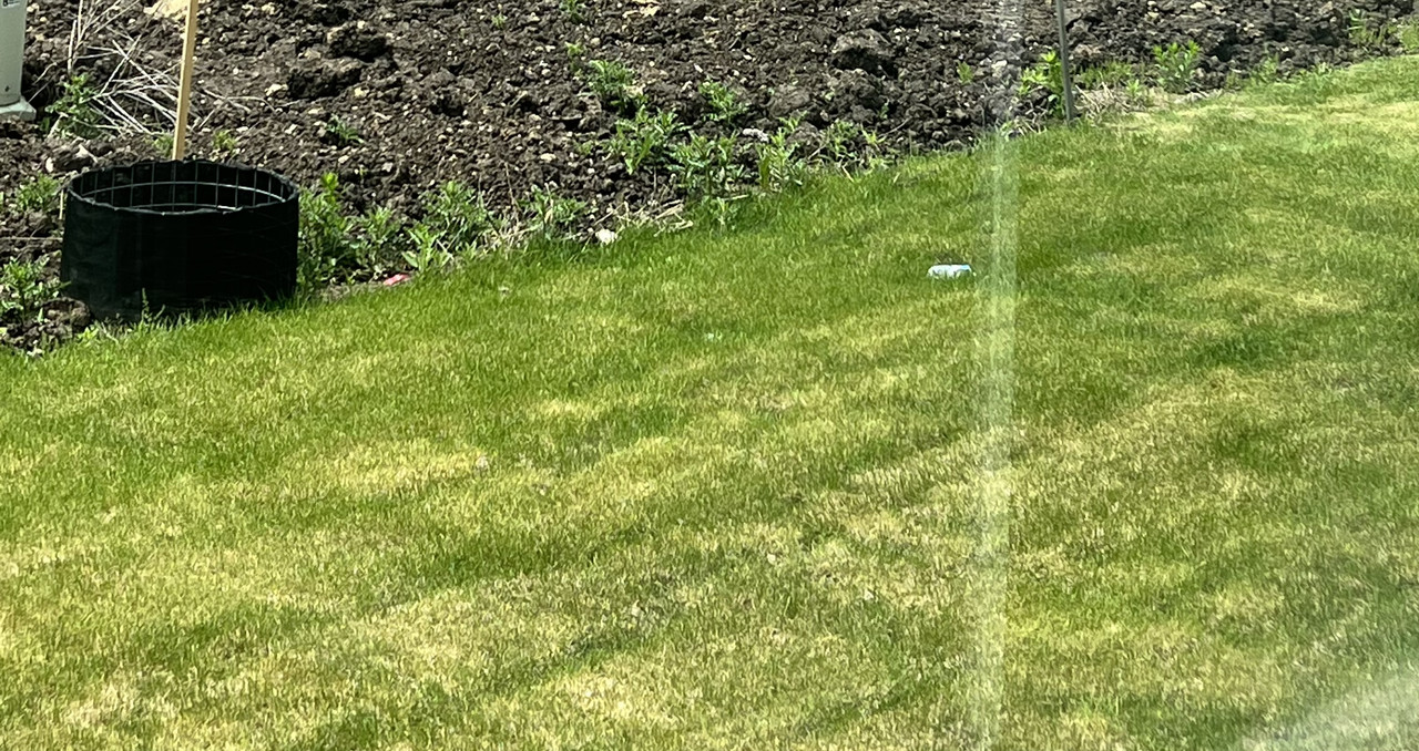 Help with Brown patches KBG - Chicago | Lawn Care Forum