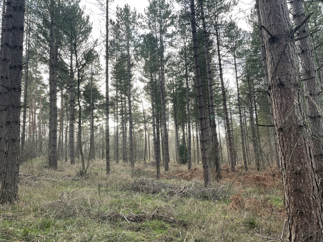 797 EAE12 9789 4 BE5 97 D0 B52 BA8336 C58 — Postimages