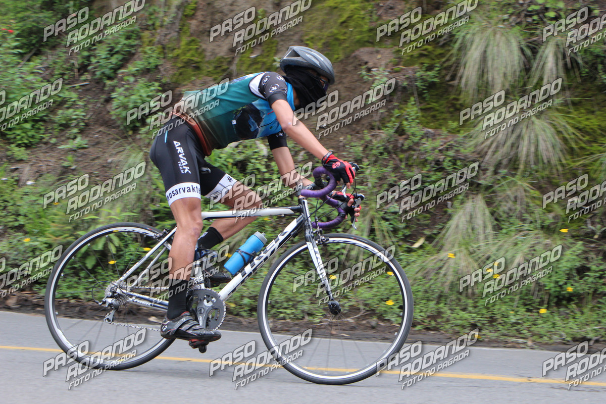 IMG 3798 wm 3352859 9 watermarked — Postimages