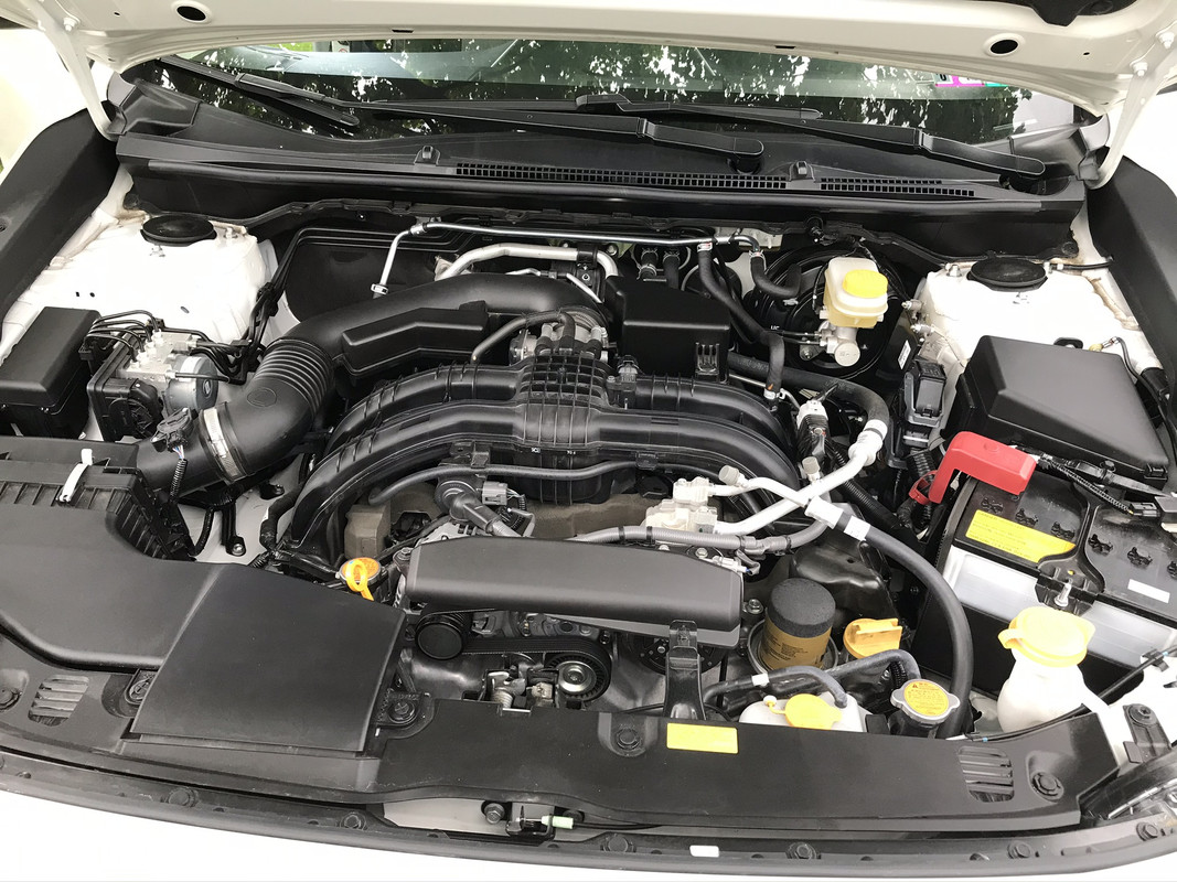 IMG 3179 — Postimages