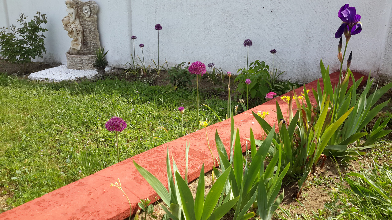 20210516 110811 — Postimages