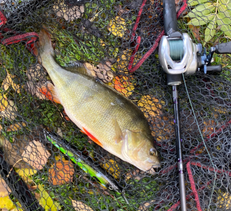 perchnov22 — Postimages