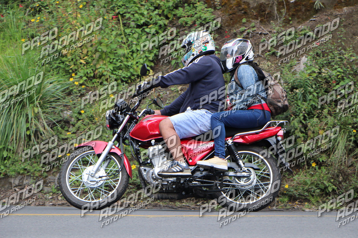 IMG 9294 wm 1896100 6999999993 watermarked — Postimages