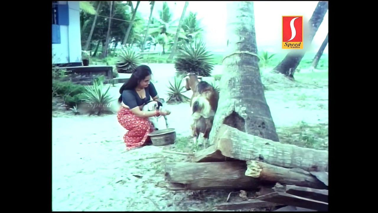 Beautiful Chithra, Priya hot Scenes in blouse from Rajavazhcha mp4 snapshot 03 01 753 — Postimages