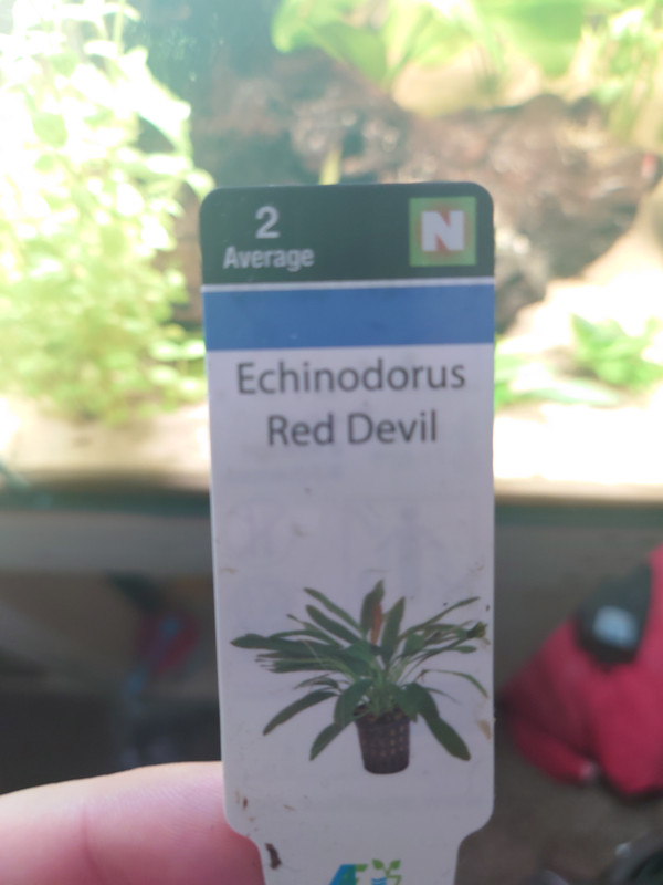 DSC 2221 — Postimages