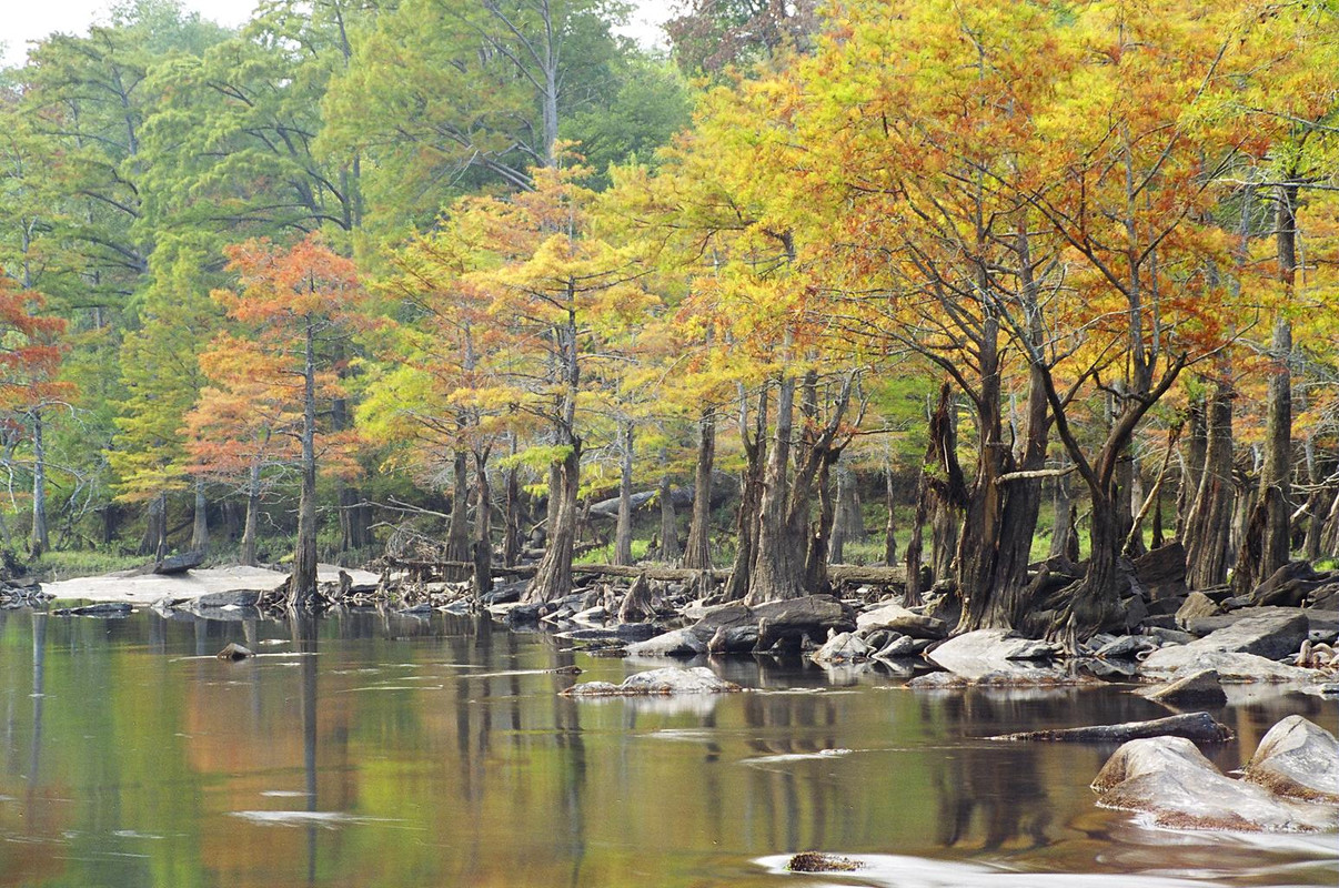 MF (32) — Postimages