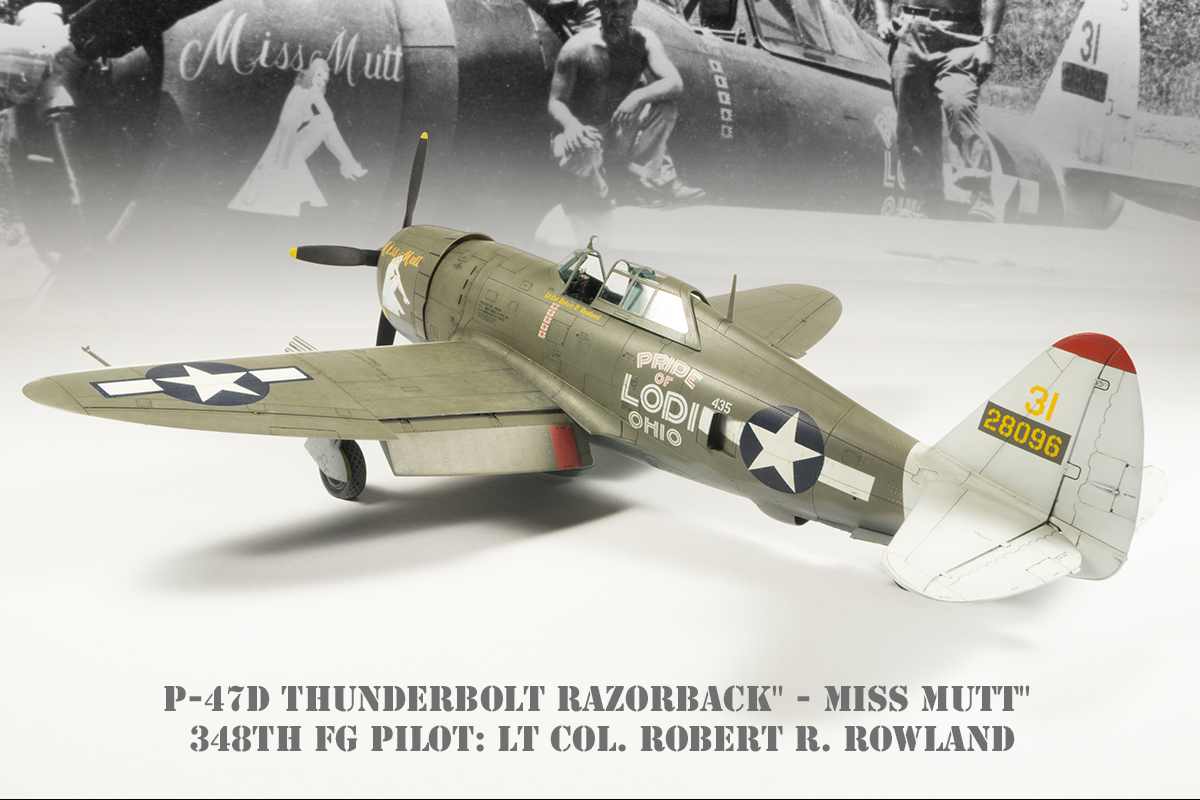 P-47D Thunderbolt Razorback (Tamiya 1/48) - Ready for Inspection ...
