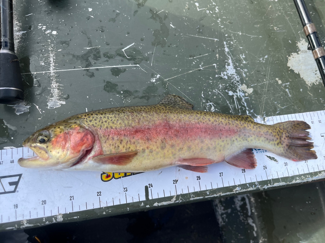 51 BB040 F 9 D41 4831 B038 C2079 EFA0525 — Postimages