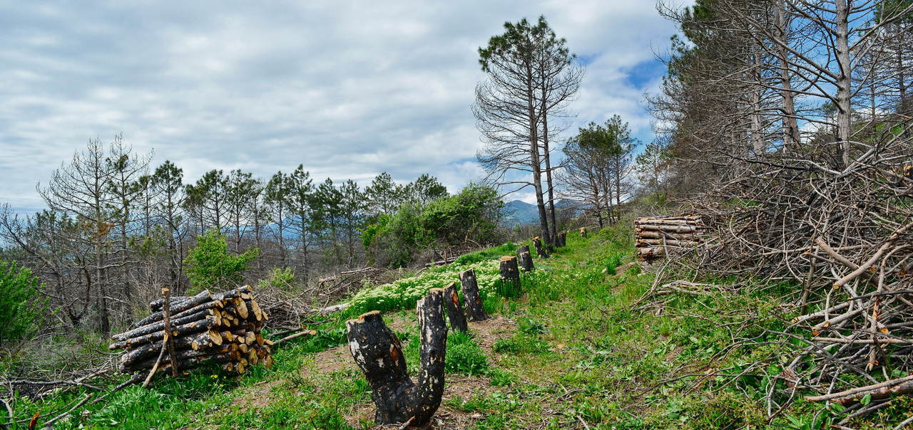 [ Group 60 DSC 1637 DSC 1638 2 images — Postimages