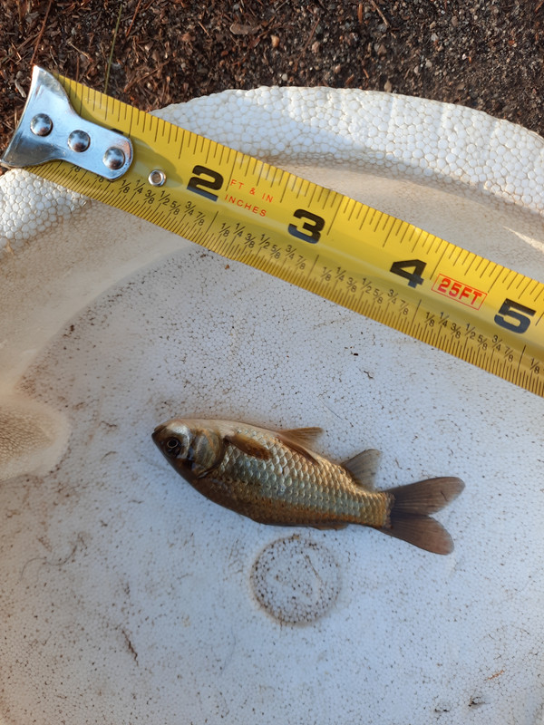 AB3 A5071 ACCF 4945 B89 D 358 A34280 EC5 — Postimages