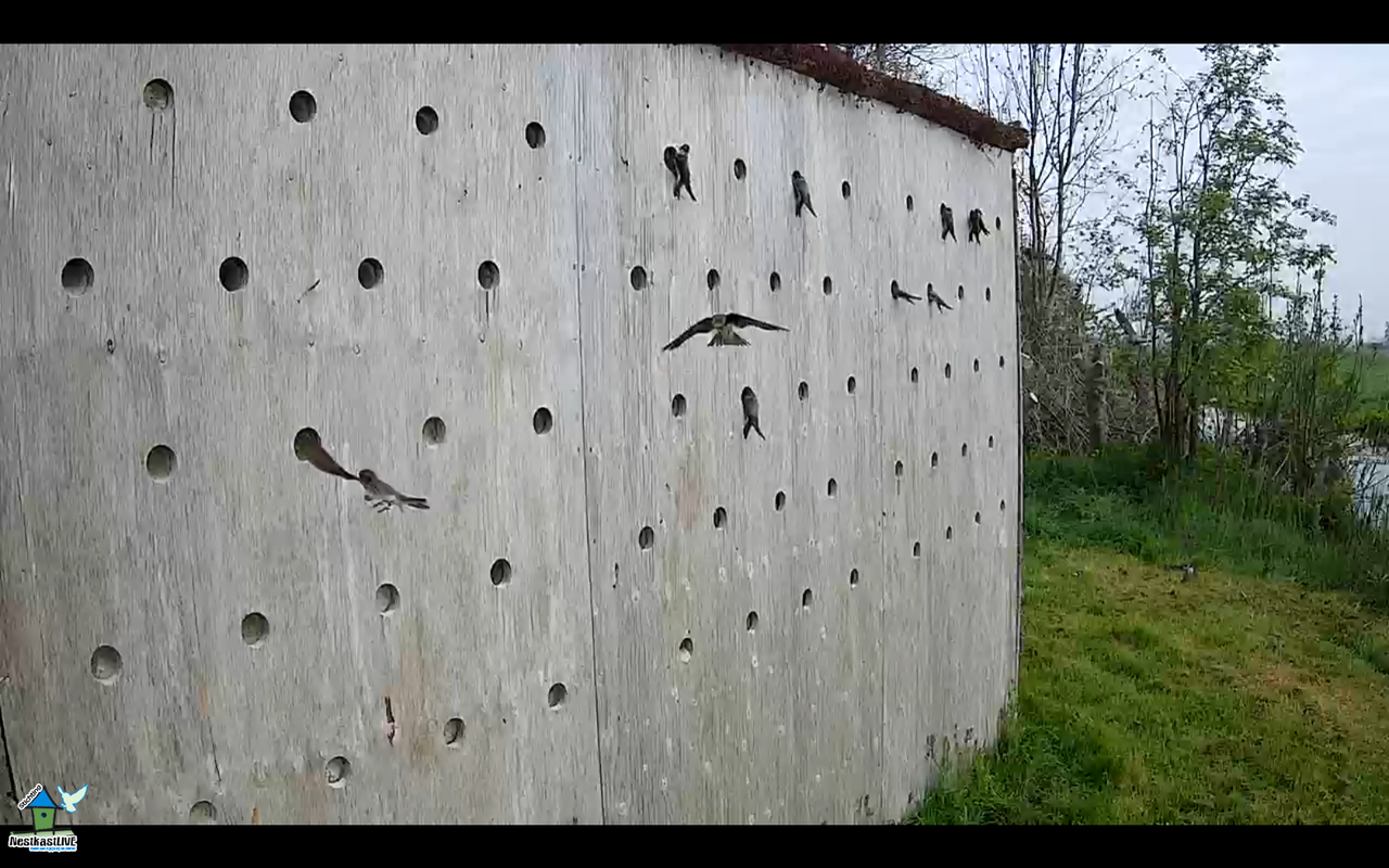 Schermopname (390) — Postimages