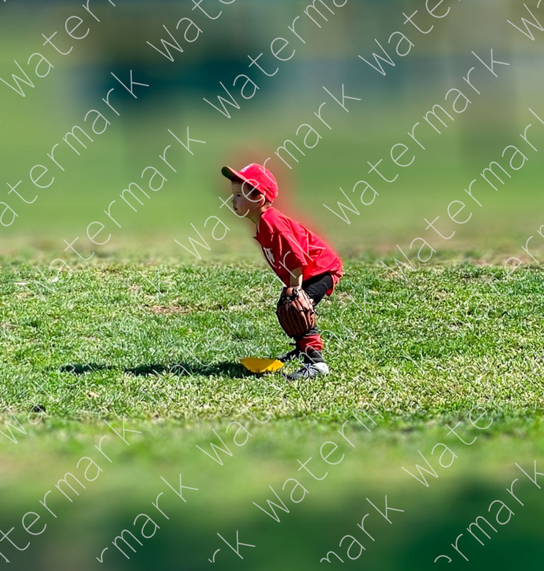 baseball cards 01 — Postimages