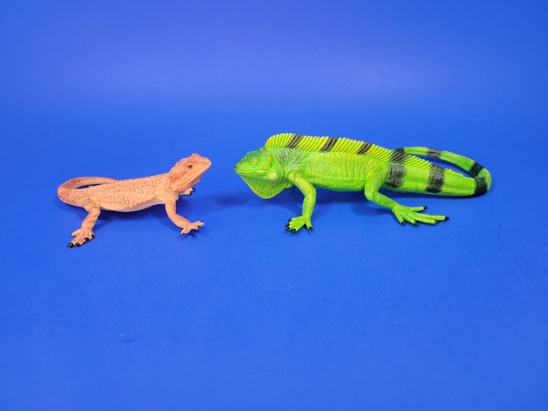 Early released 2025 Mojo reptiles?