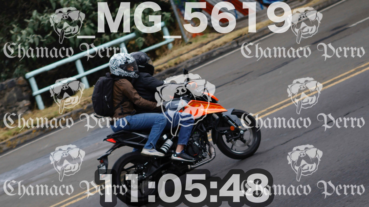 MUESTRA110 — Postimages