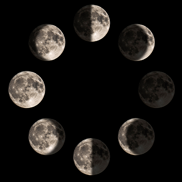 every phase of the moon + eclipses - Minecraft Heads