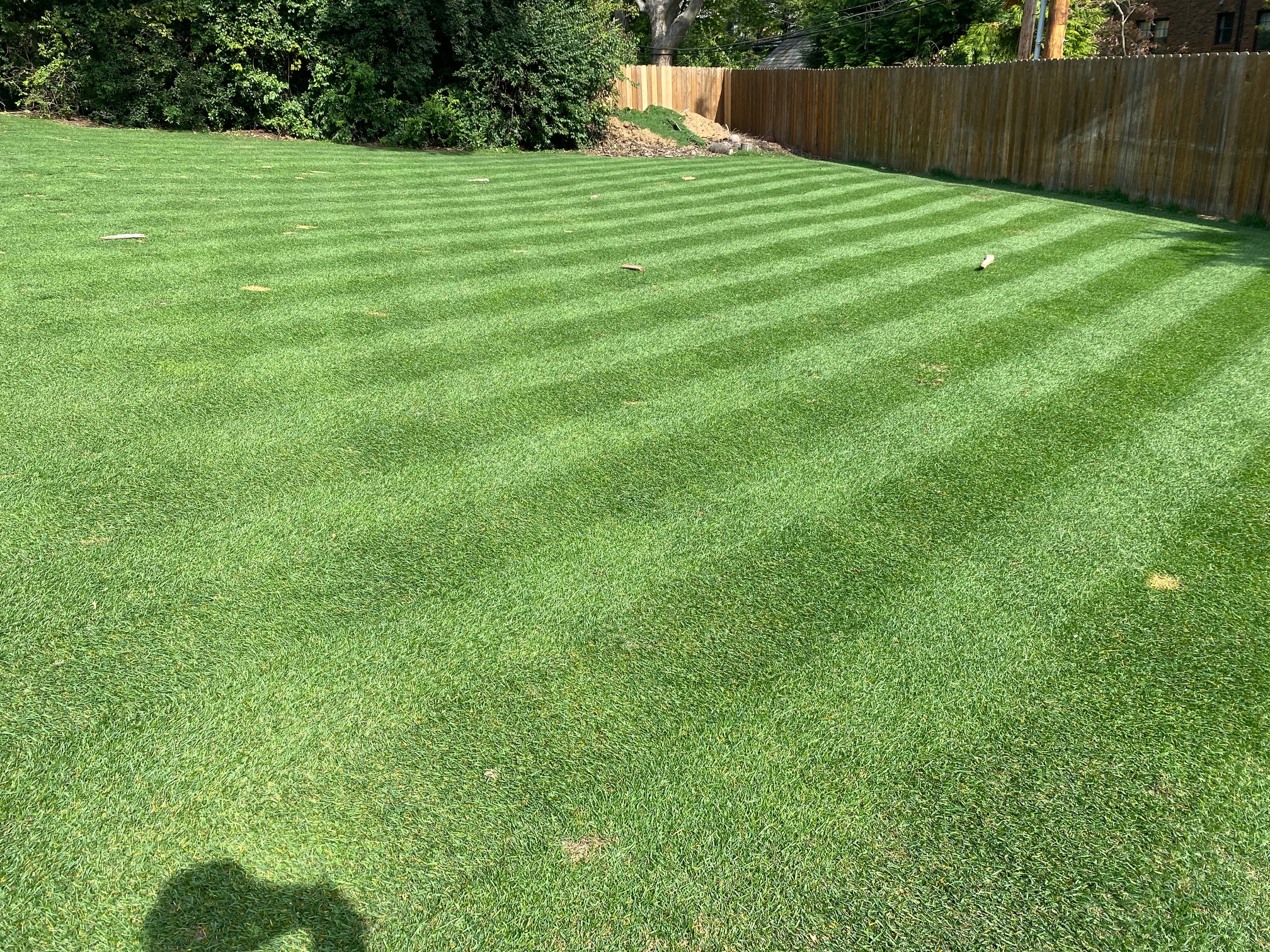 IMG 2395 — Postimages