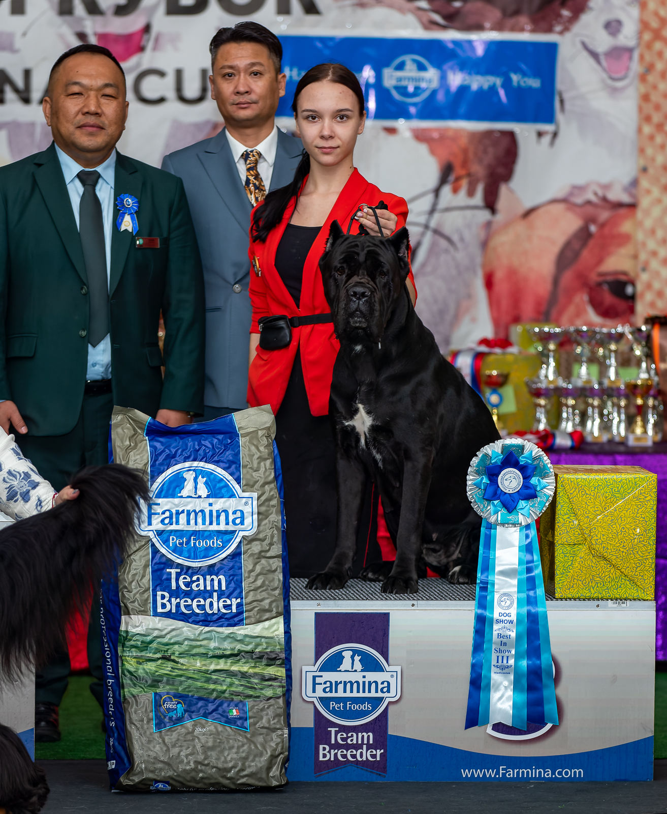 30 1533 — Postimages