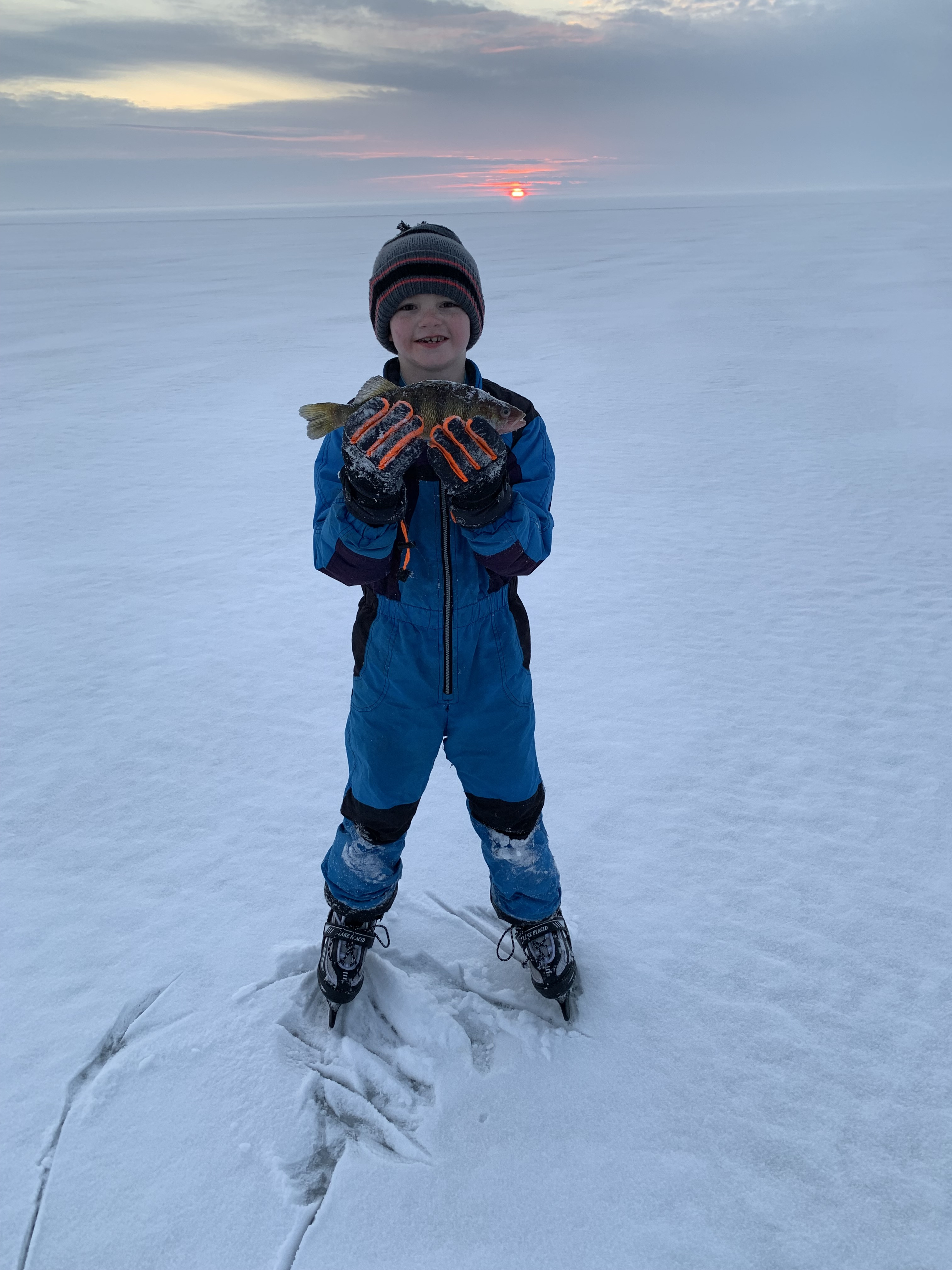 IMG 8986 — Postimages