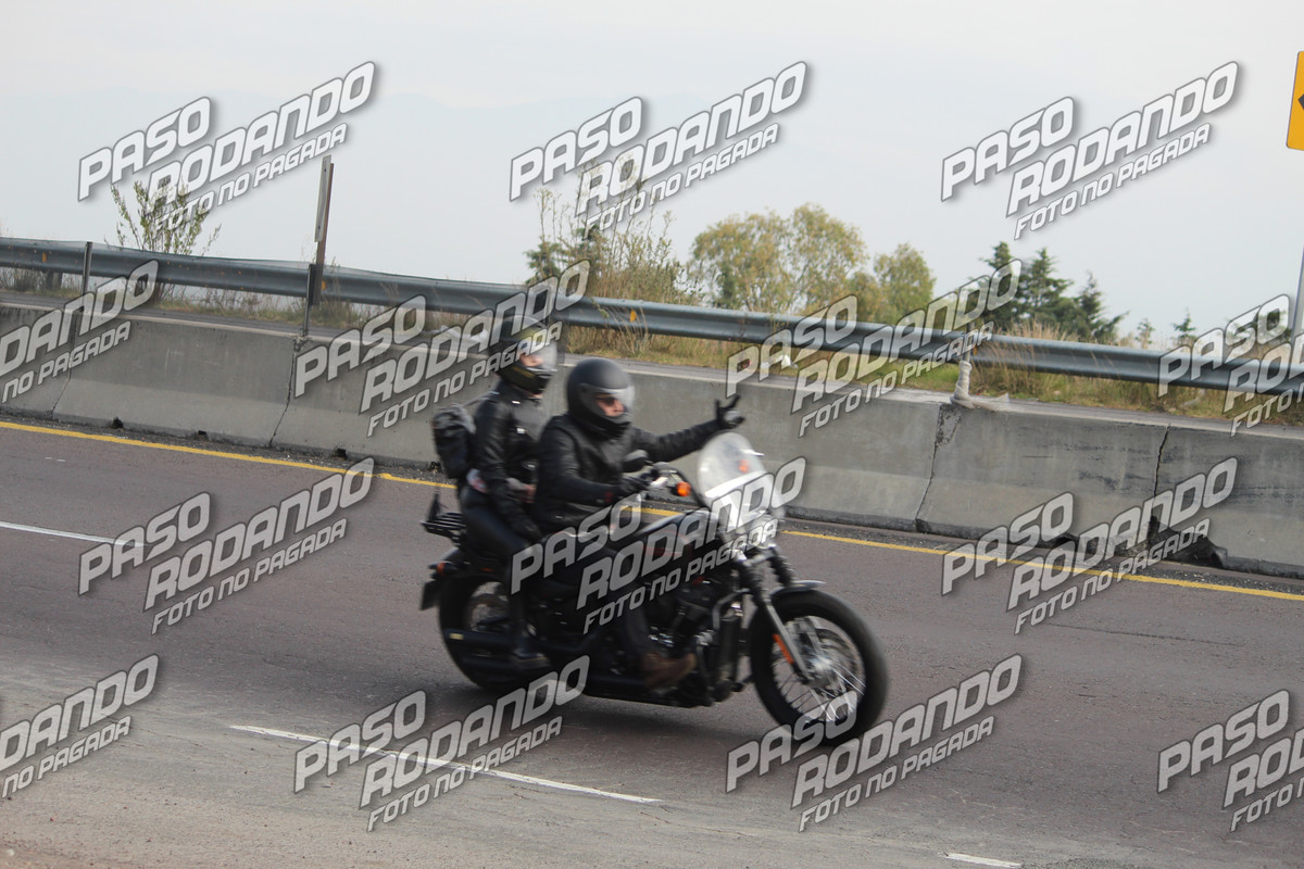 IMG 9065 wm 2300142 3999999985 watermarked — Postimages