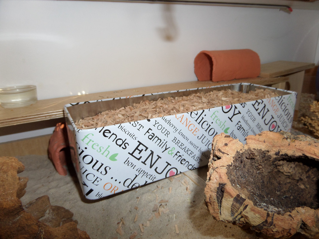 SAM 2882 — Postimages