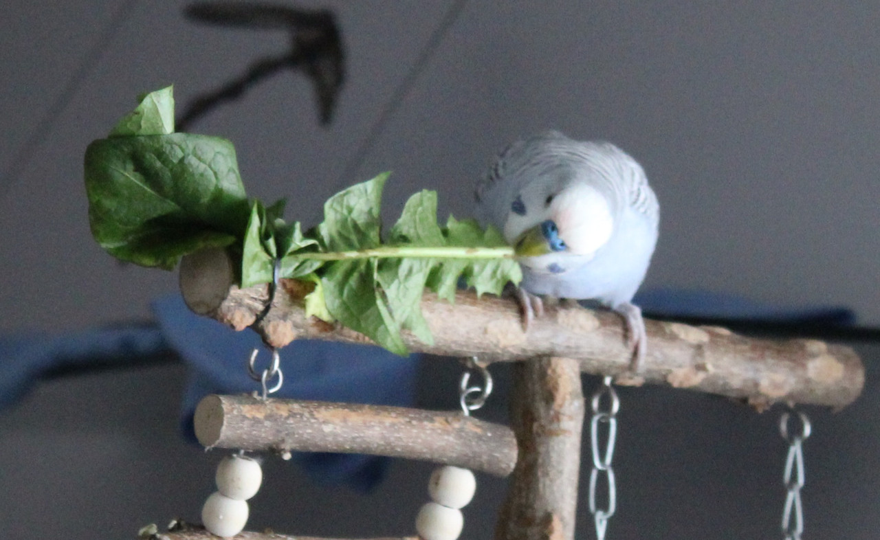 20231119120749 IMG 1908 — Postimages