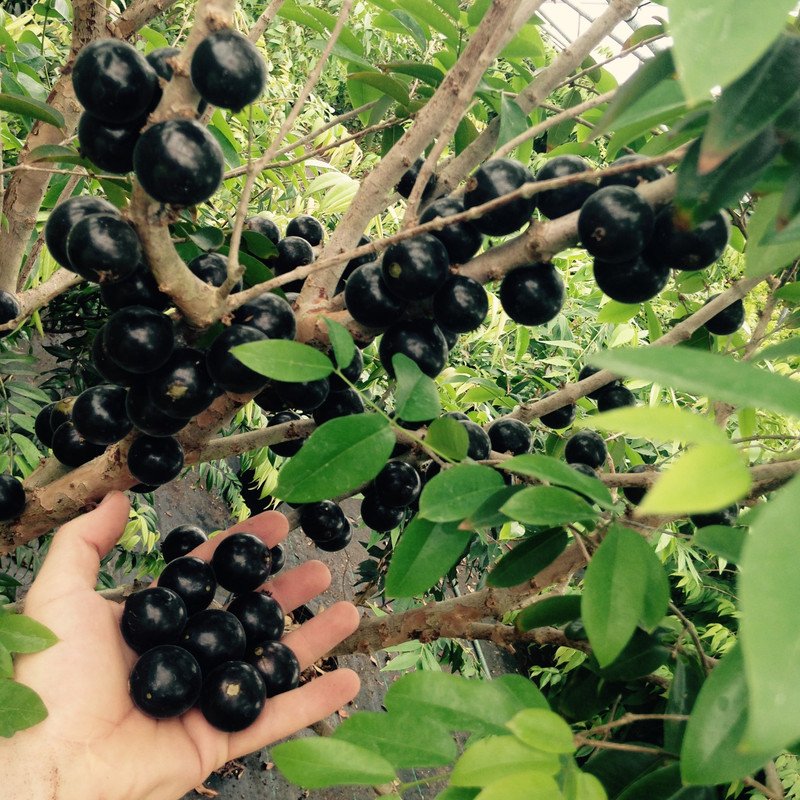 Full Size Render(8) — Postimages