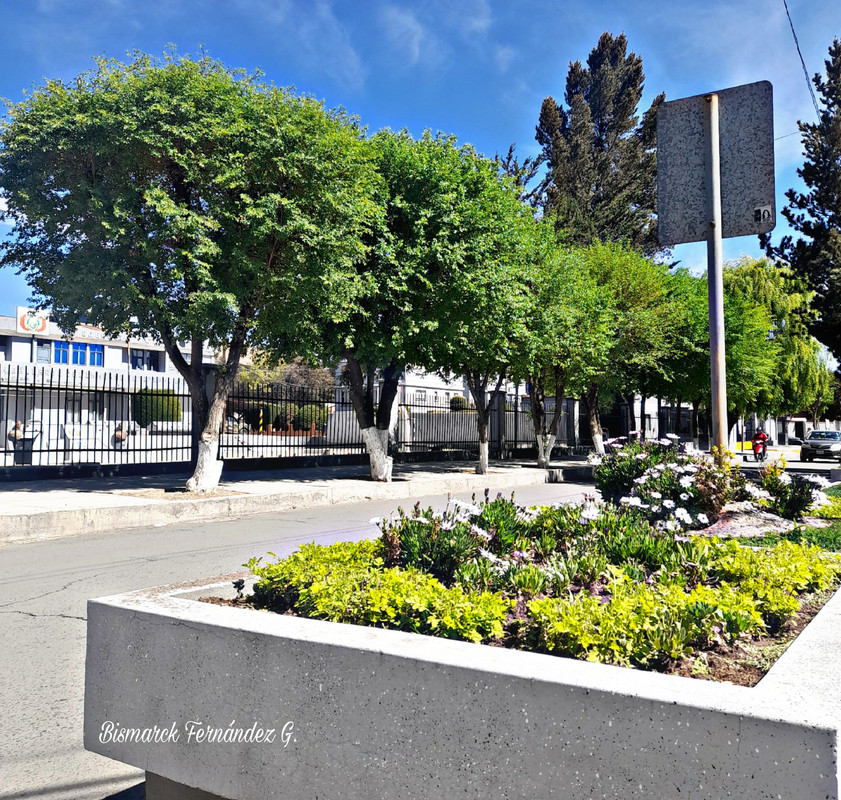 Picsart 23 10 11 22 39 46 492 — Postimages