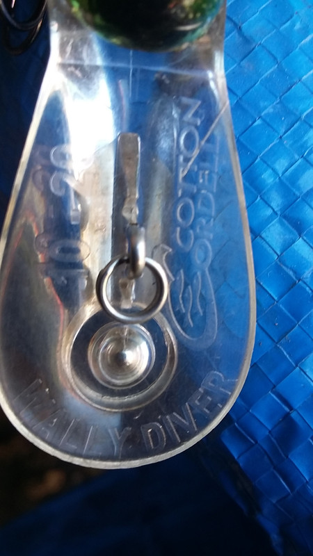 20240905 120435 — Postimages