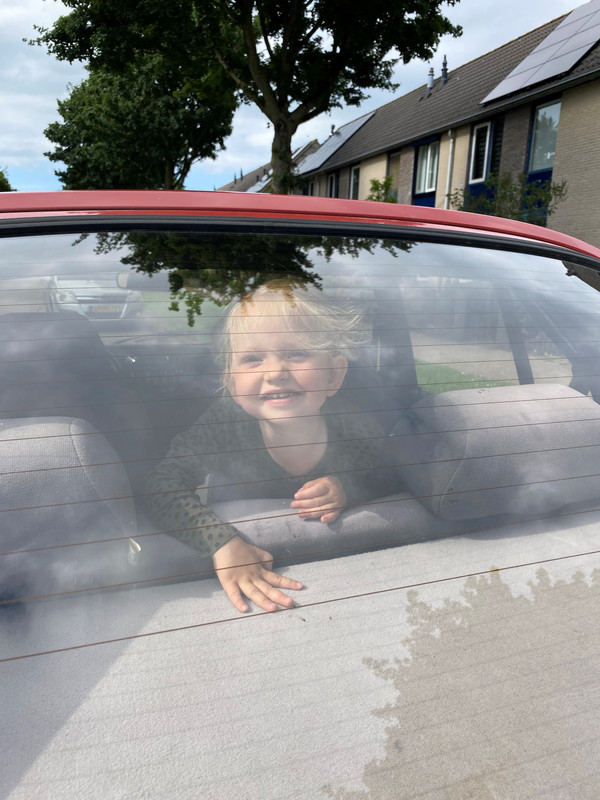 Fiene in Saab — Postimages