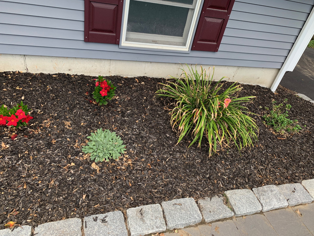 IMG 3159 — Postimages