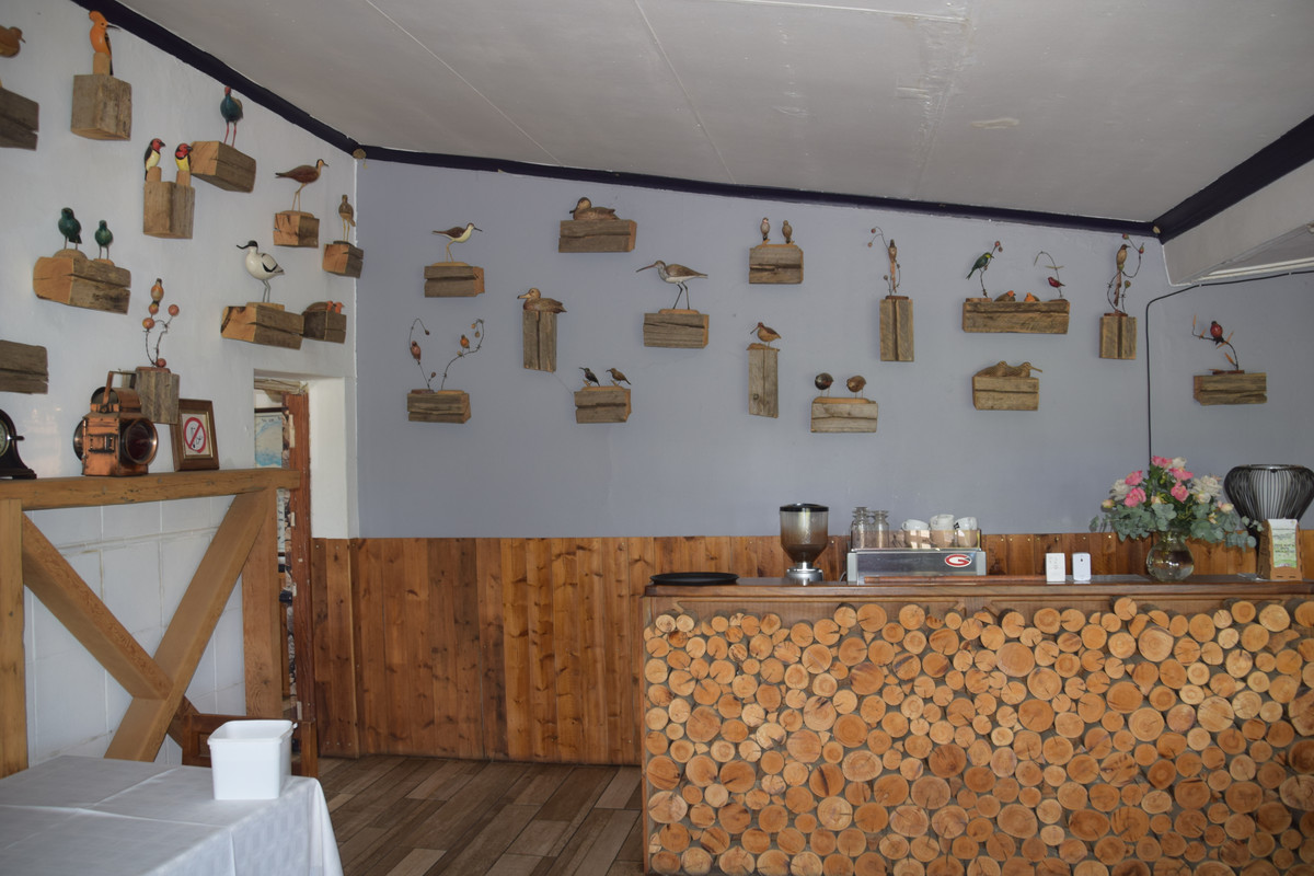 DSC 0072 — Postimages