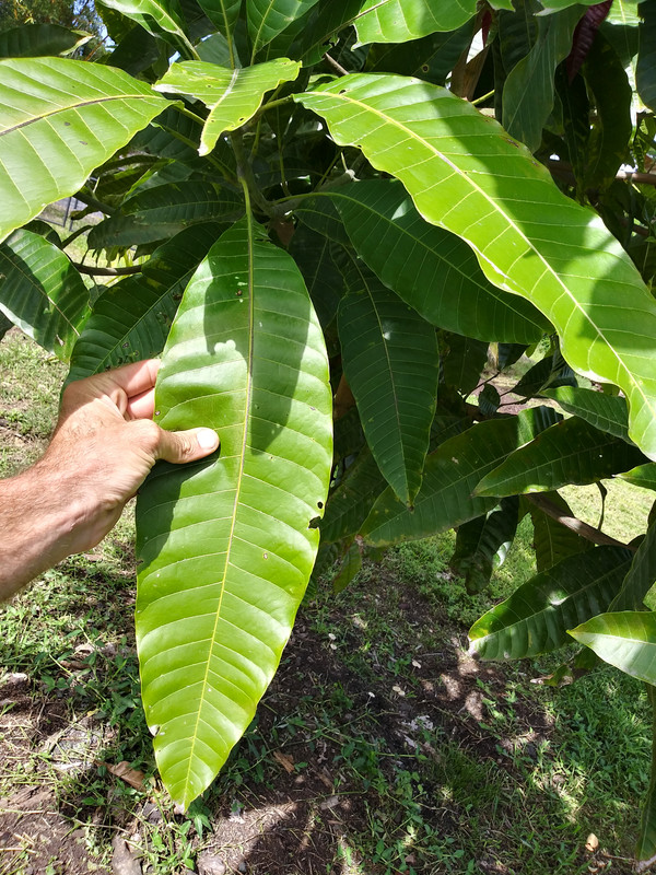 20210524 150006 HDR — Postimages