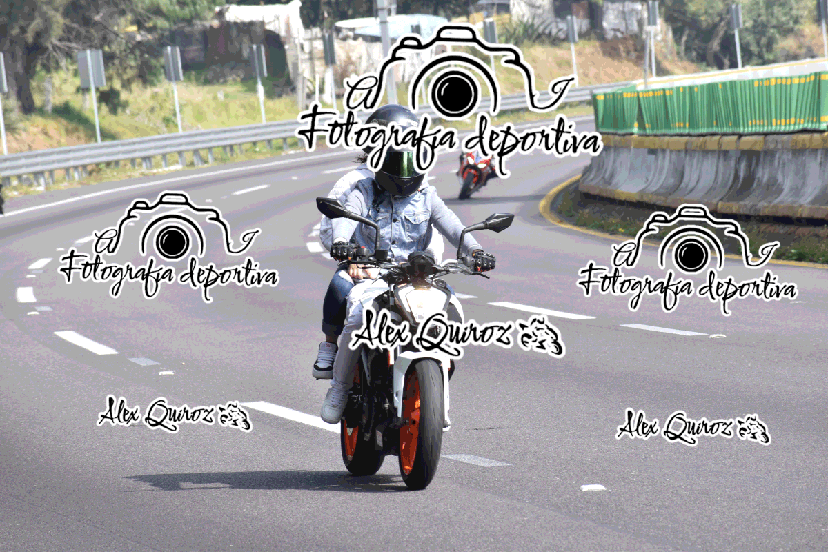 AVQ 2909 — Postimages