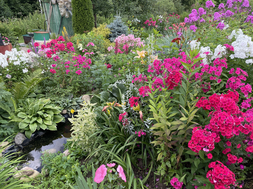 IMG 3870 — Postimages