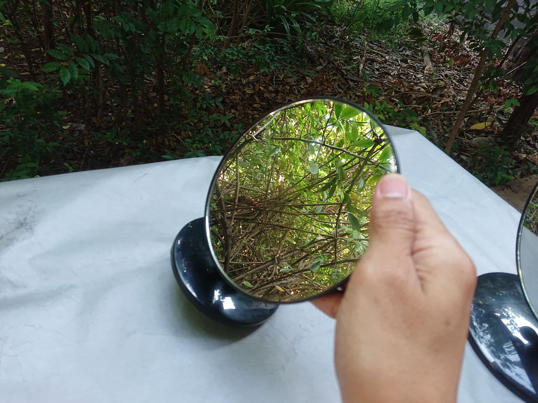 DSC 0083 — Postimages