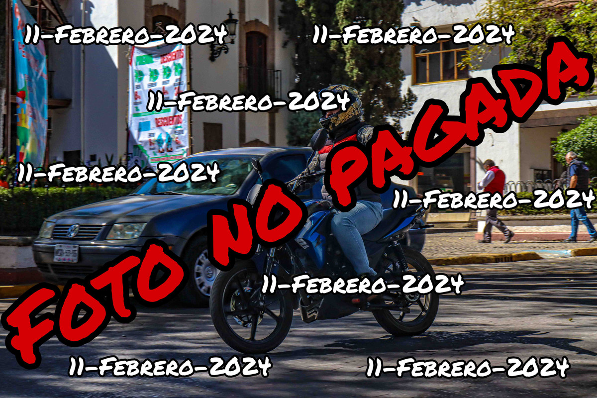 CV 445 — Postimages