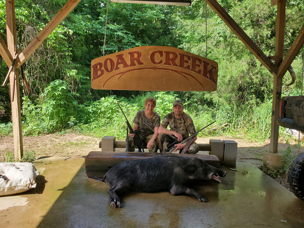 Boar hunt 2021 1 — Postimages