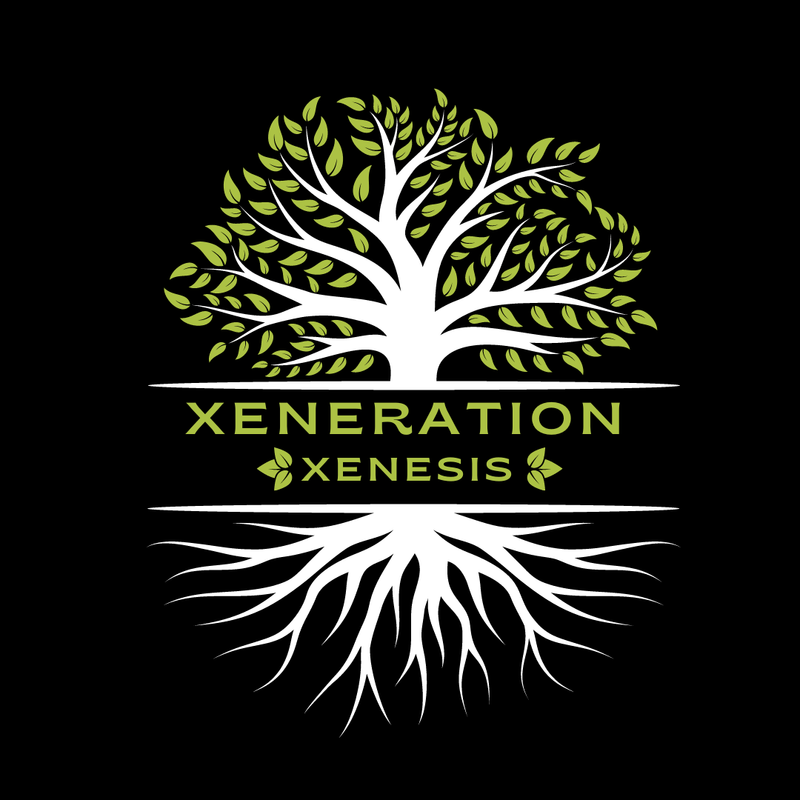 Xeneration Xenesis presale - How to buy Xeneration Xenesis