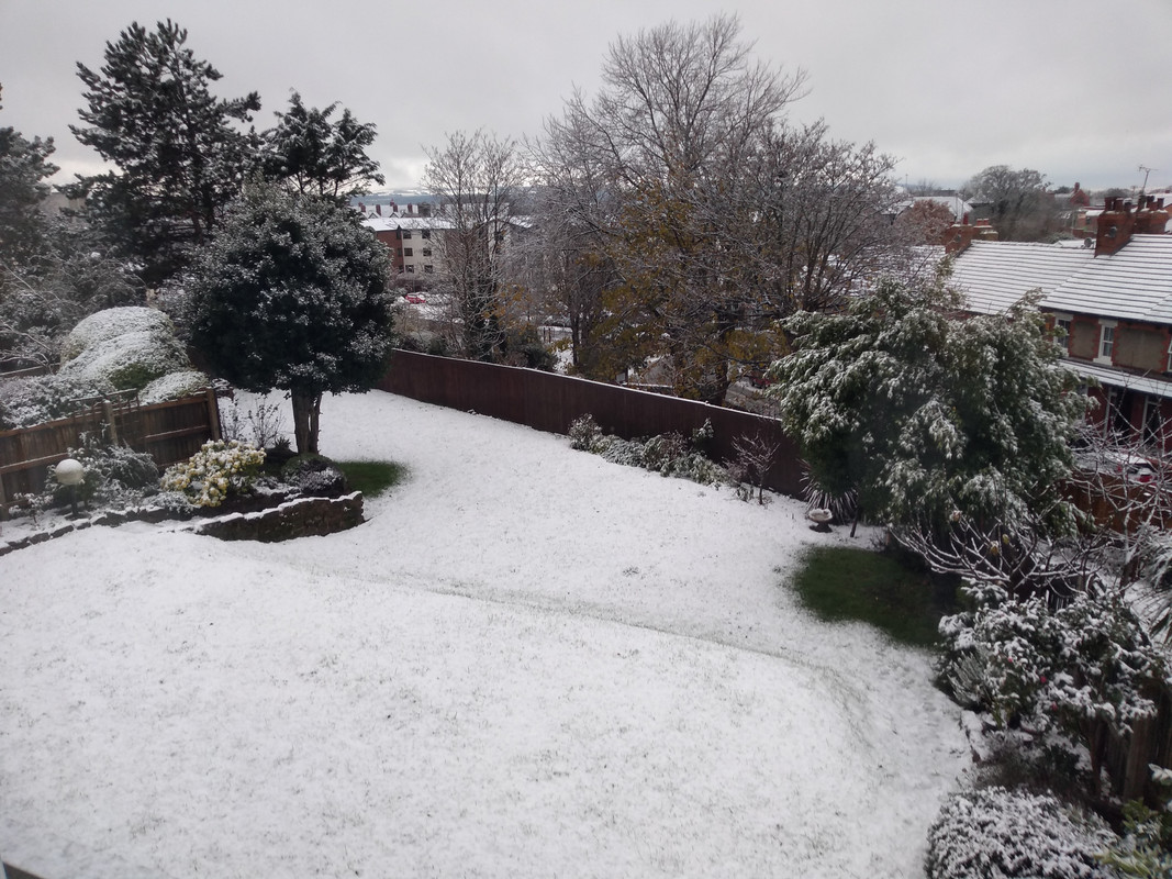 Snow 10 dec — Postimages