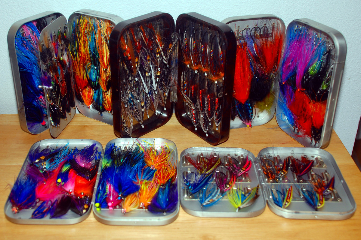 DSC 3742 — Postimages