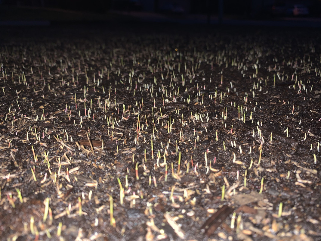 8 C3 F24 AA 44 BC 45 BB B076 E2987 E0 BD941 — Postimages