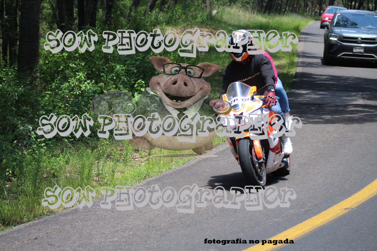 IMG 8726 — Postimages