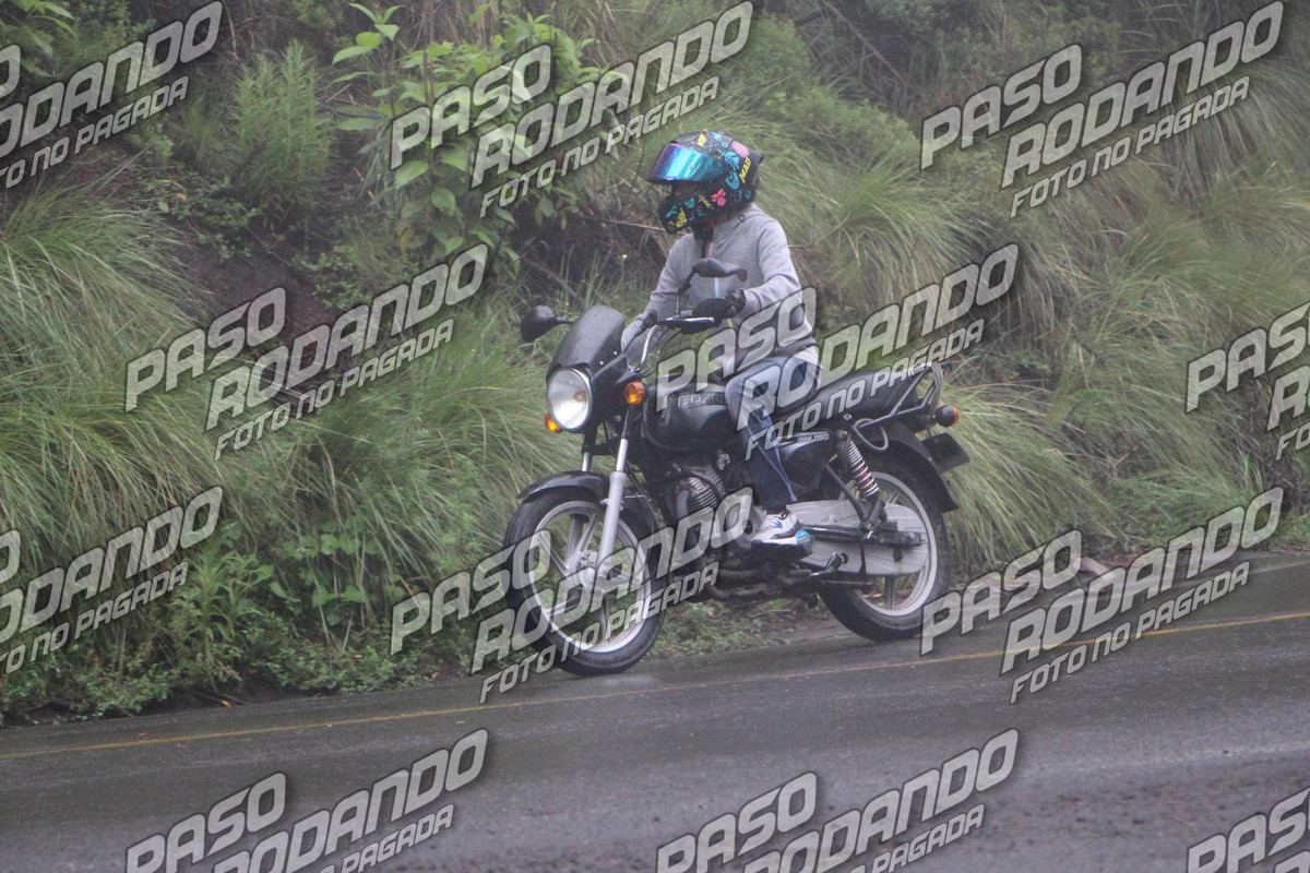 IMG 2337 wm 312916 7999999998 watermarked — Postimages