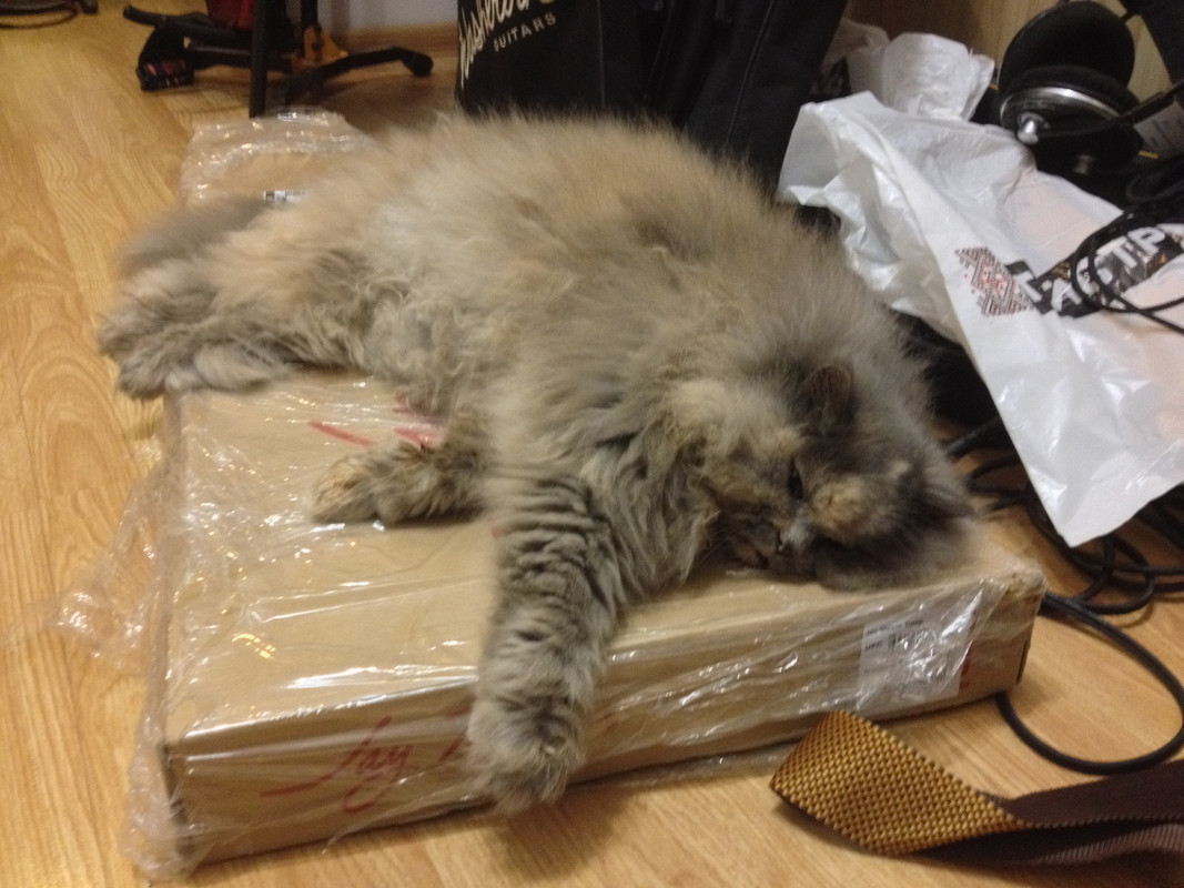 IMG 4429 — Postimages