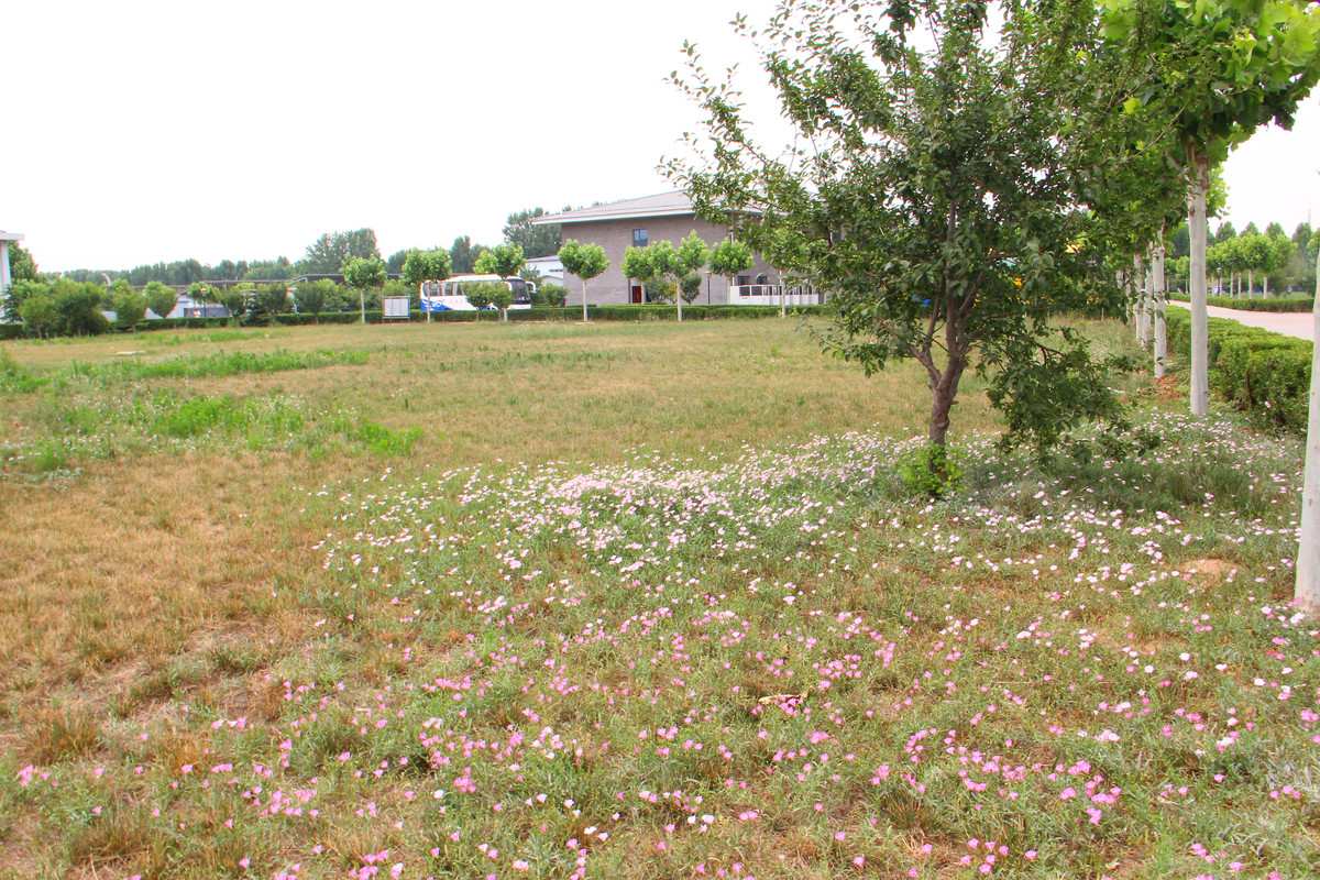 IMG 0168 — Postimages