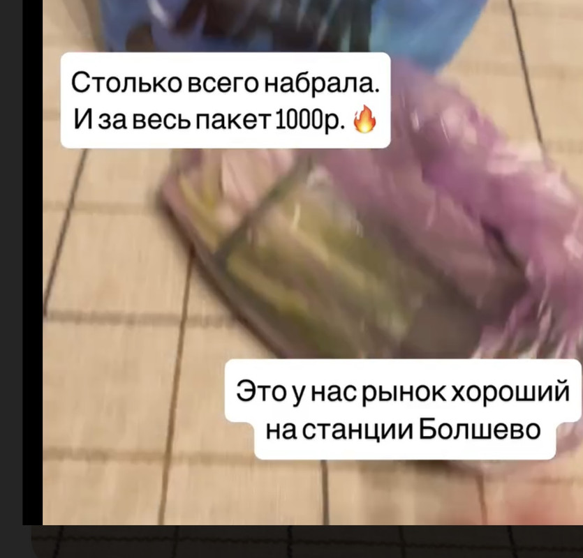 IMG 6214 — Postimages